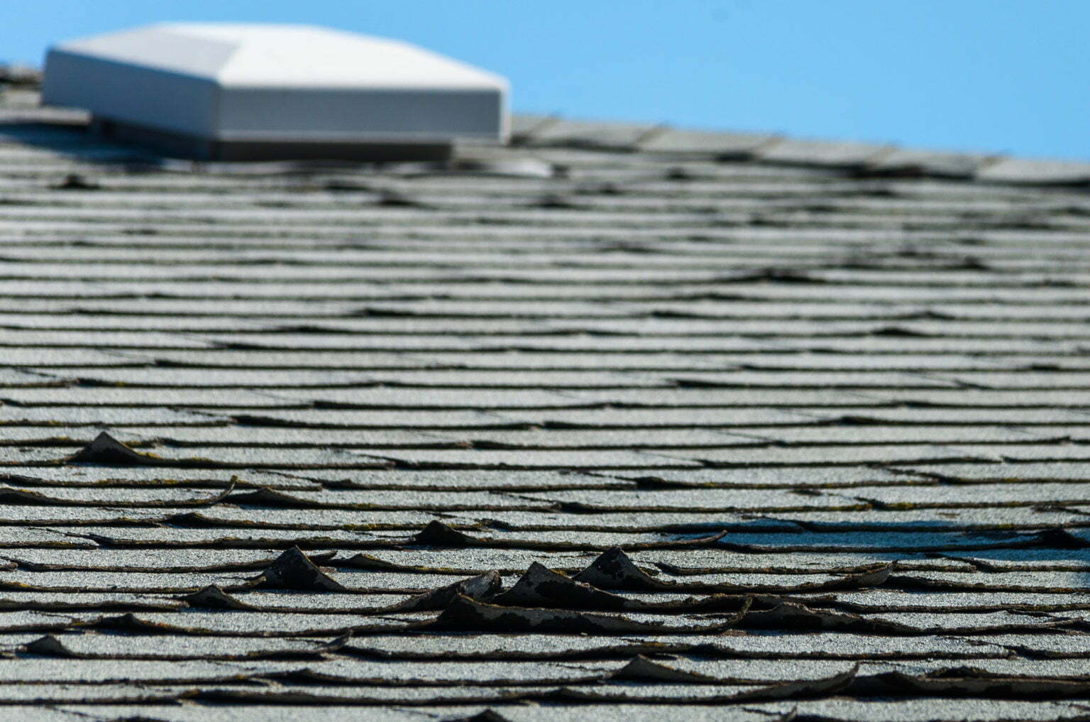 What are curled and cupped shingles and what do they mean for your roof ...