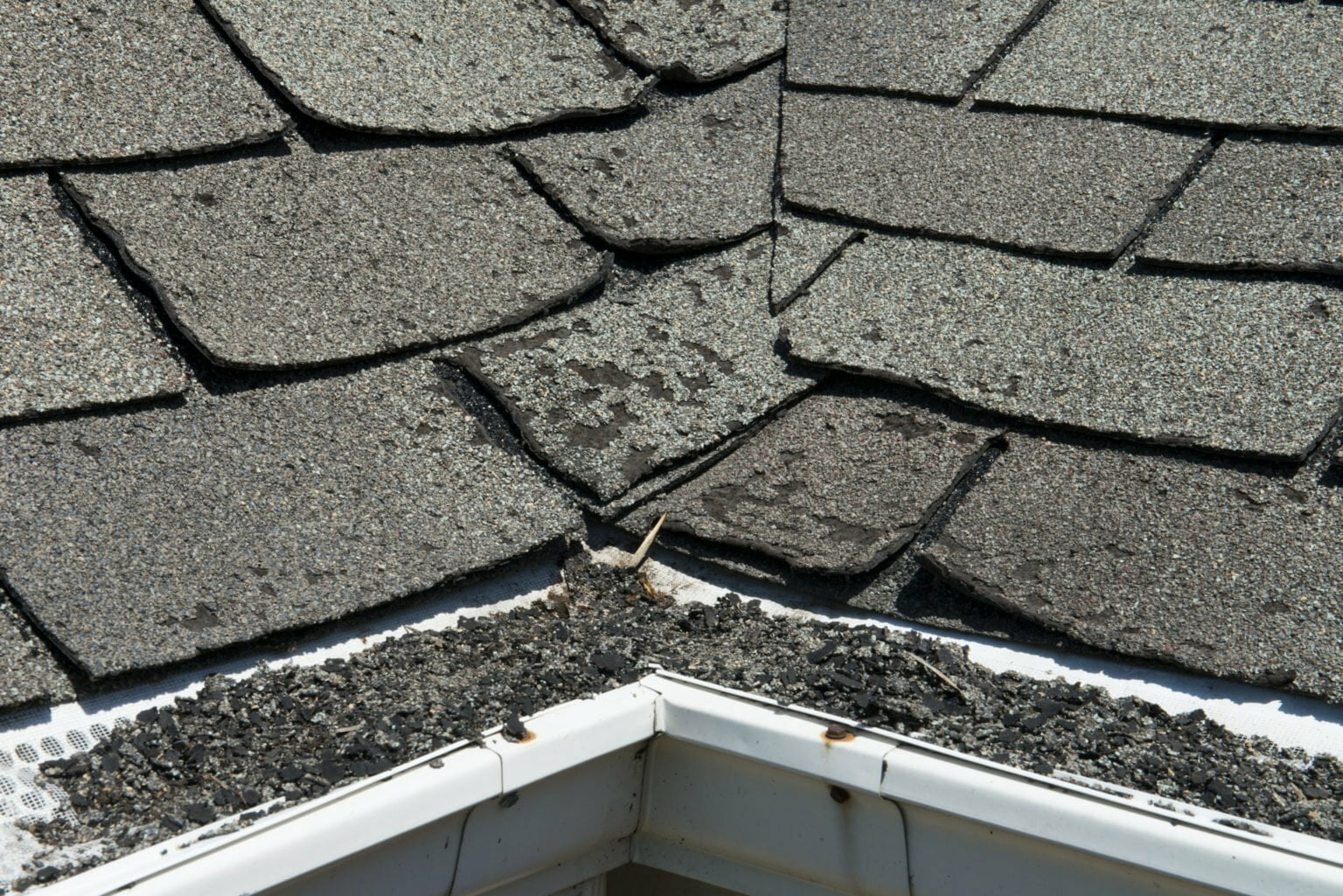 What are curled and cupped shingles and what do they mean for your roof ...